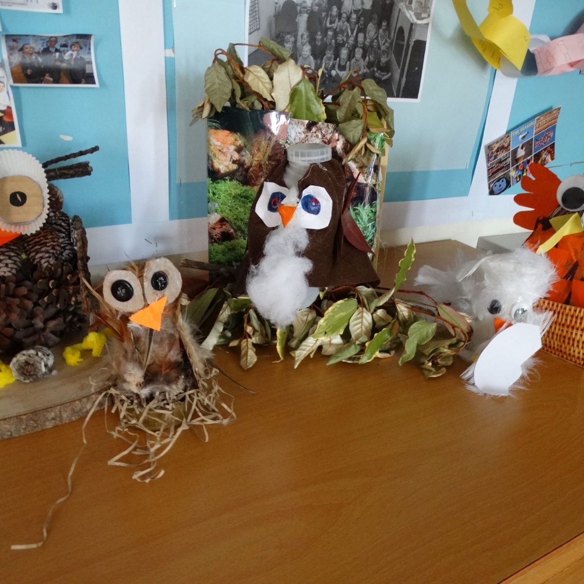 Stoke Prior First School - Owl Competition
